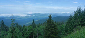 Directions To The LeConte Center - Address, Map, & Parking Information